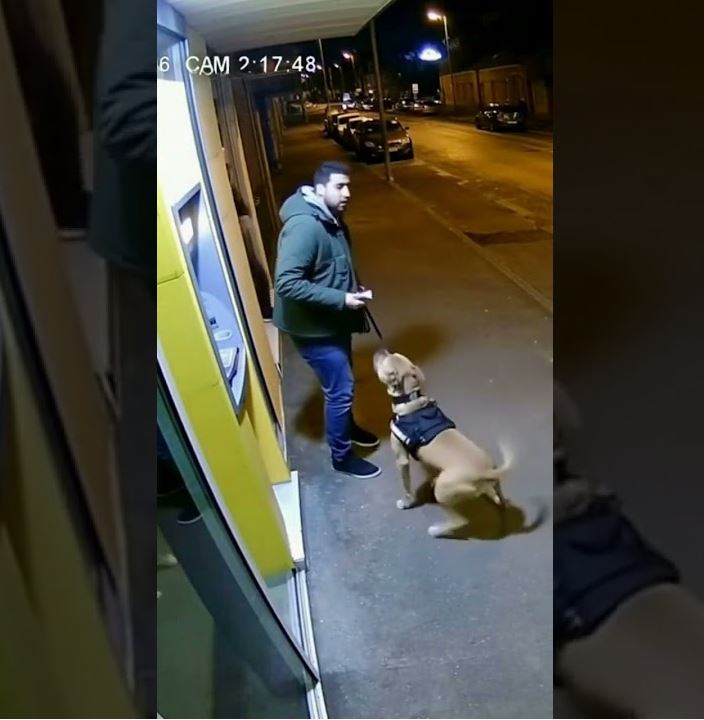 Dog Protects Owner at ATM — What the CCTV Captured Melted Everyone’s ...