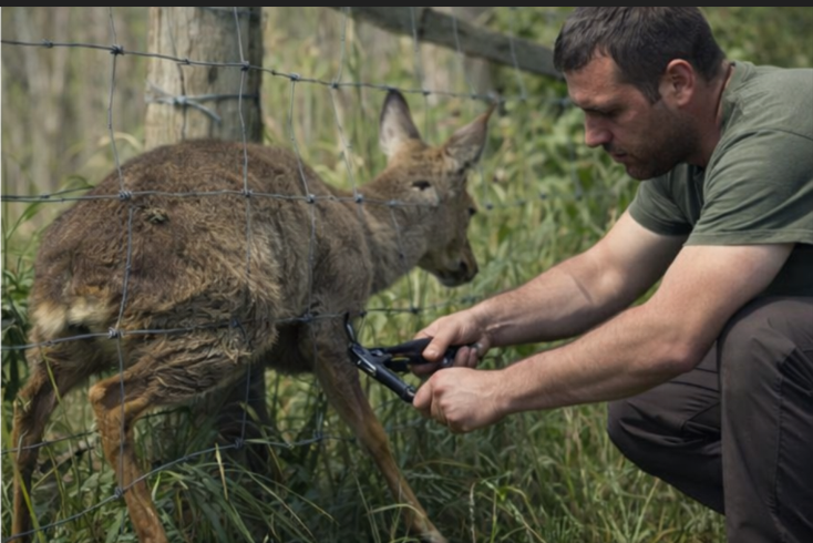 A Split-Second Decision Saved a Life — Watch Closely – Home
